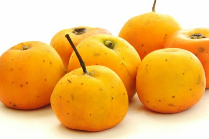 Una fruta fea con muy buenos beneficios, Tejocote