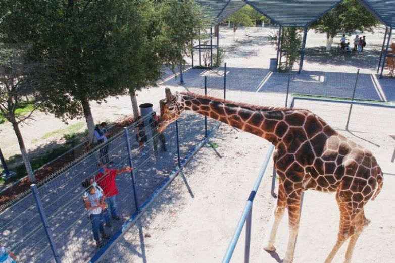 El Parque Central renovado