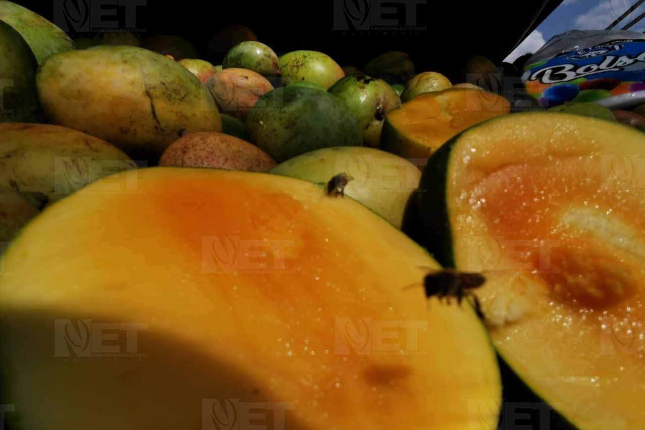 Rematan 40 toneladas de mango michoacano en Juárez