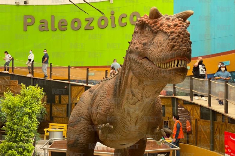 Conoce el museo Interactivo 'La Rodadora'