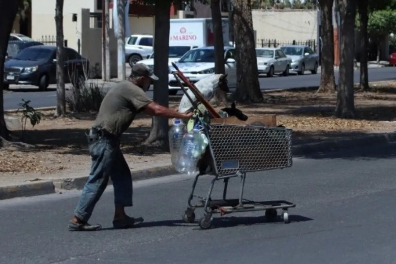 Indigente pasea a sus perritos en un carrito de supermercado
