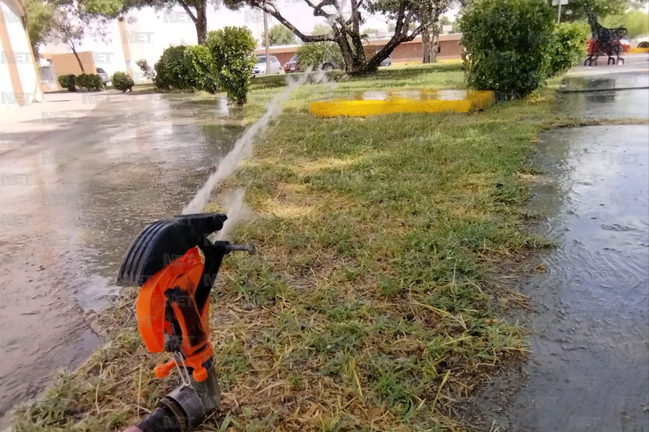 Dan opciones para regar árboles y cuidar el agua