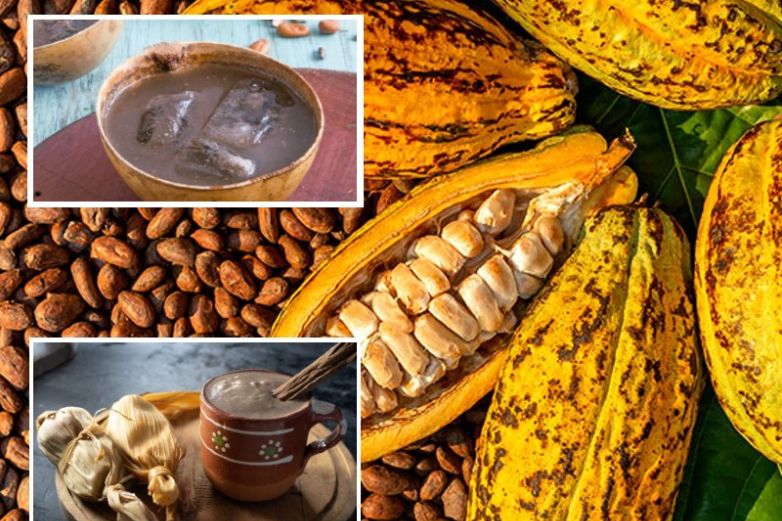 Día Mundial del Cacao: Estas son las bebidas prehispánicas que han ...