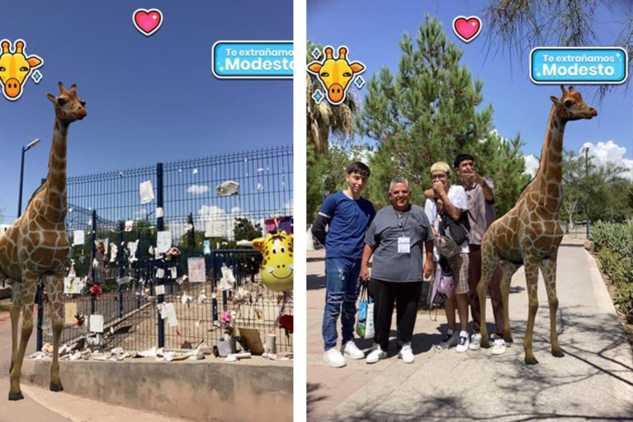 Crean app para ver a Modesto en realidad aumentada
