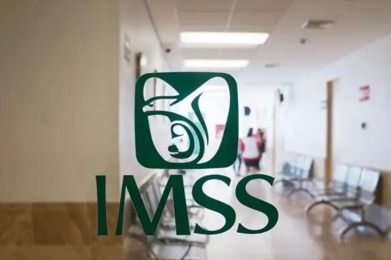 ¿En qué consiste el programa ELSA del Seguro Social?