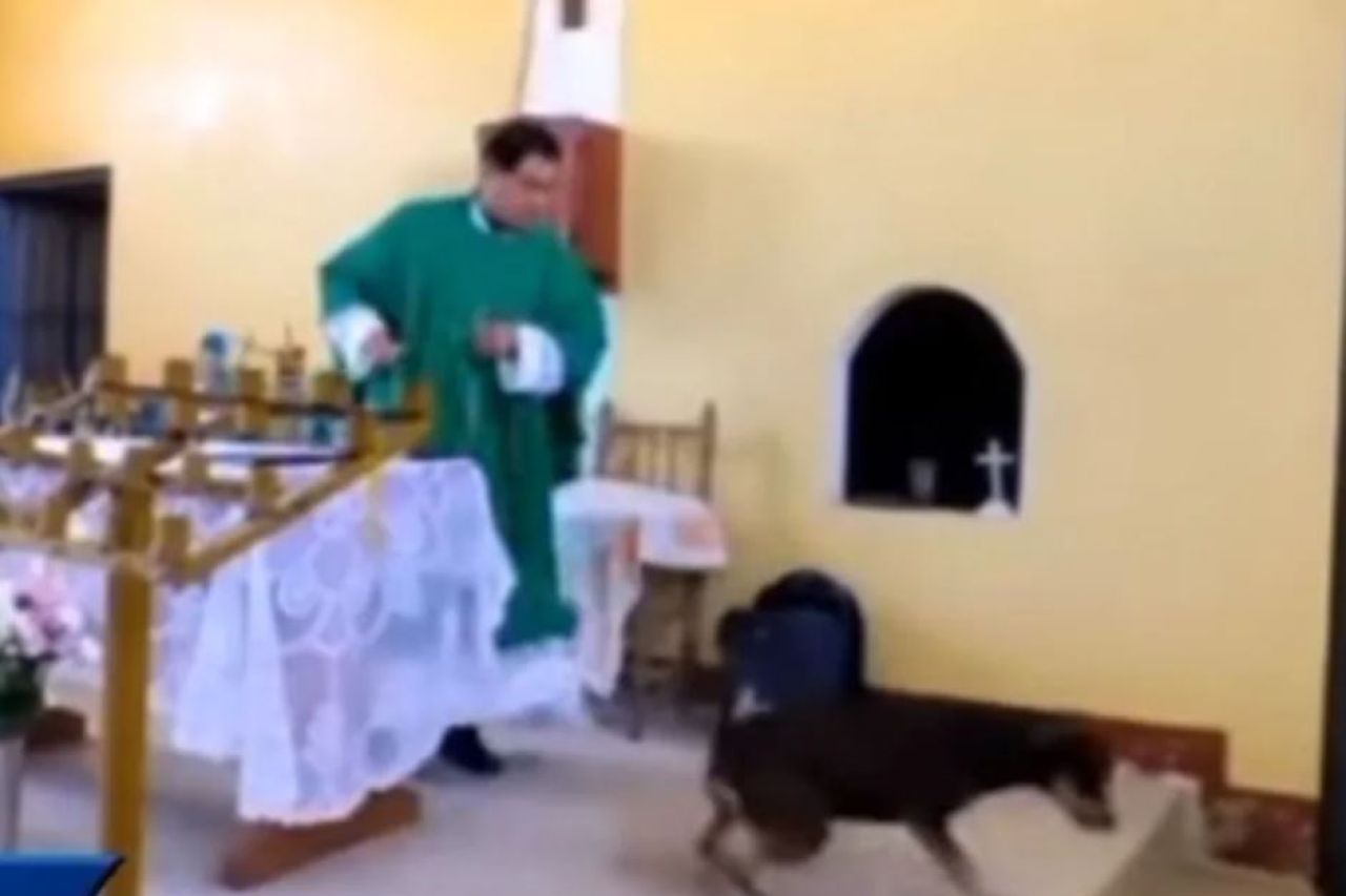Padre patea a perrito en misa y dice que Jesús hacía lo mismo