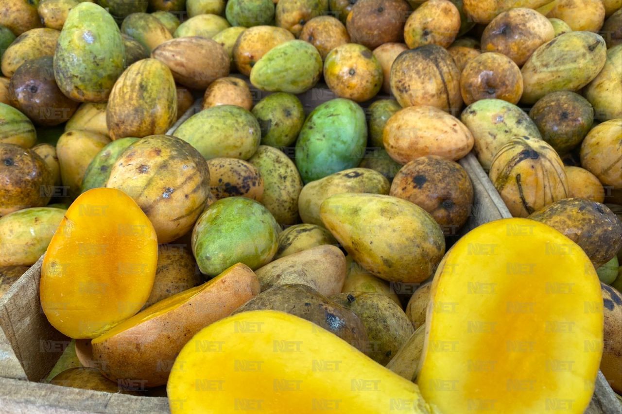 Llega a Juárez tráiler con toneladas de piña miel y mango