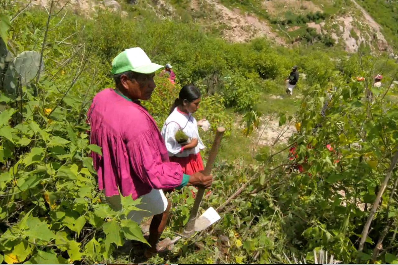Se registra por primera vez sequía en la Sierra Se registra por primera vez sequía en la Sierra