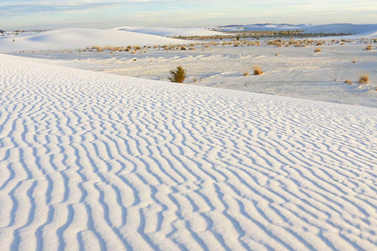 White Sands: Fossil Tracks llega al Museo de Arqueología de El Paso