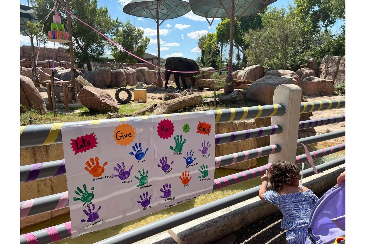 Celebran cumpleaños de Savannah en el Zoológico de El Paso