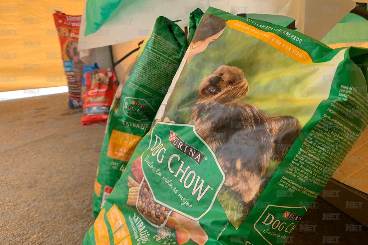 Invitan a donar croquetas y a tomarse la foto navideña