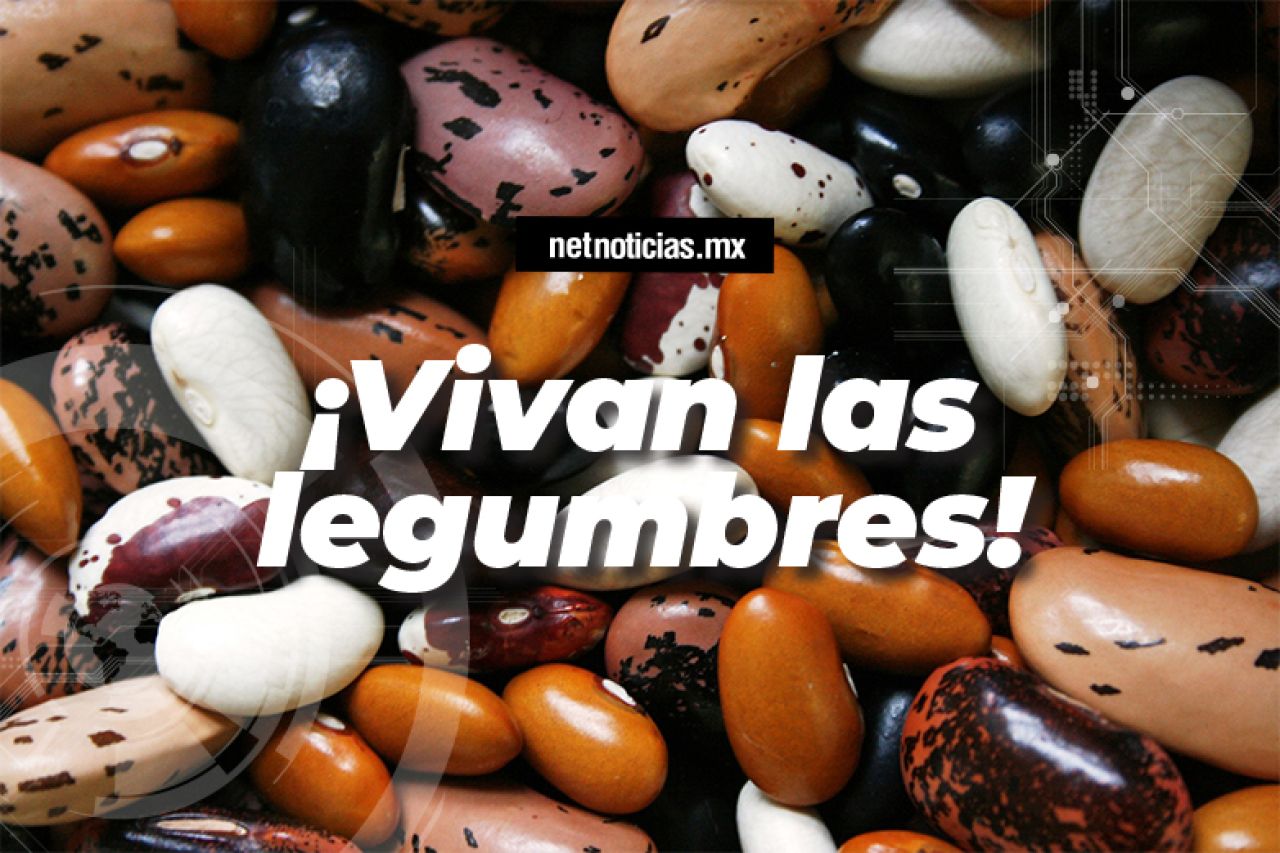 ¡Vivan las legumbres!