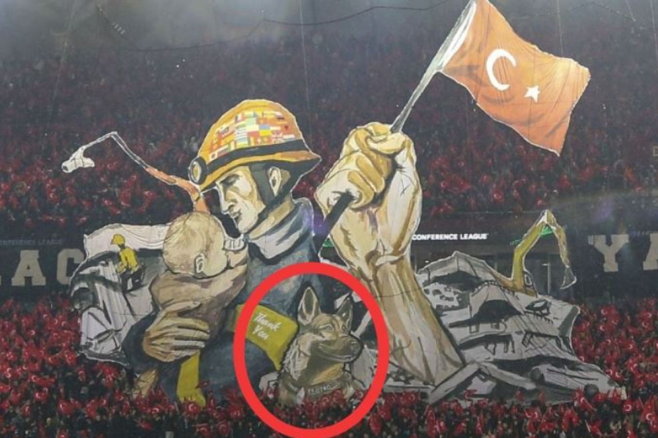 Equipo turco rinde homenaje a Proteo, perrito rescatista