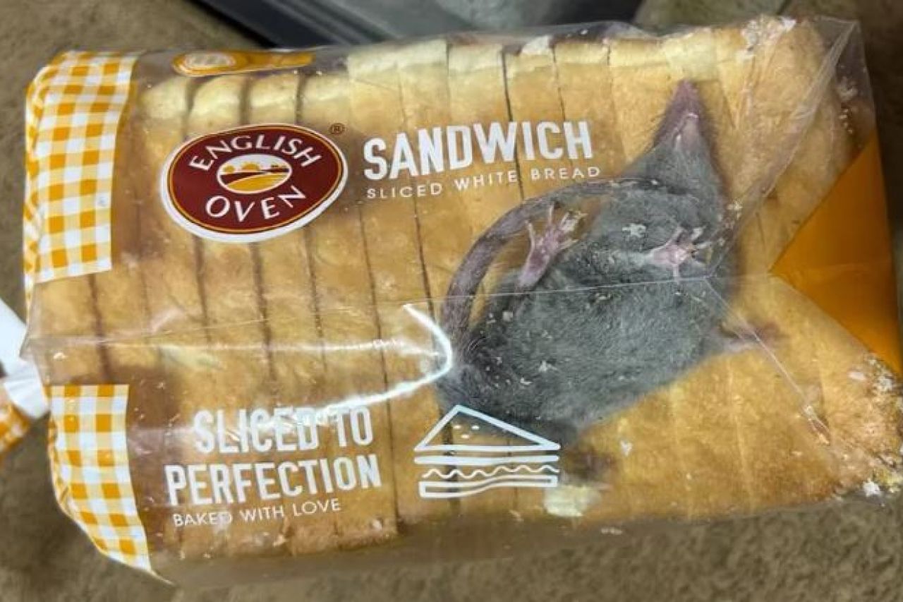 Halla una rata viva en bolsa de pan que pidió en línea