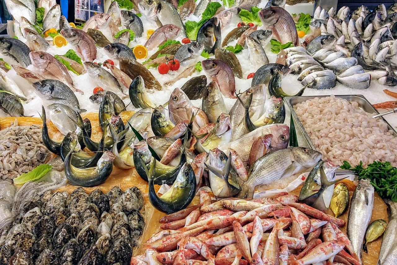 Recomienda Profeco el pescado Lisa esta cuaresma