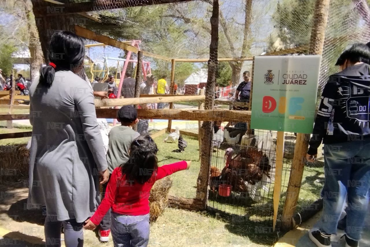 Estos son los horarios para visitar a los 'DIFnosaurios'