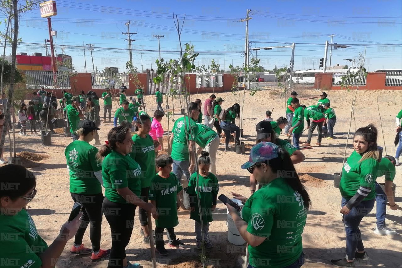 Suman esfuerzos para reforestar Ciudad Juárez