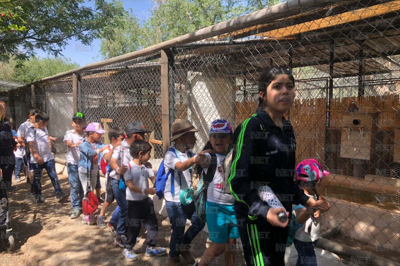 Celebran el Día del Niño y de la Niña en el Zoológico