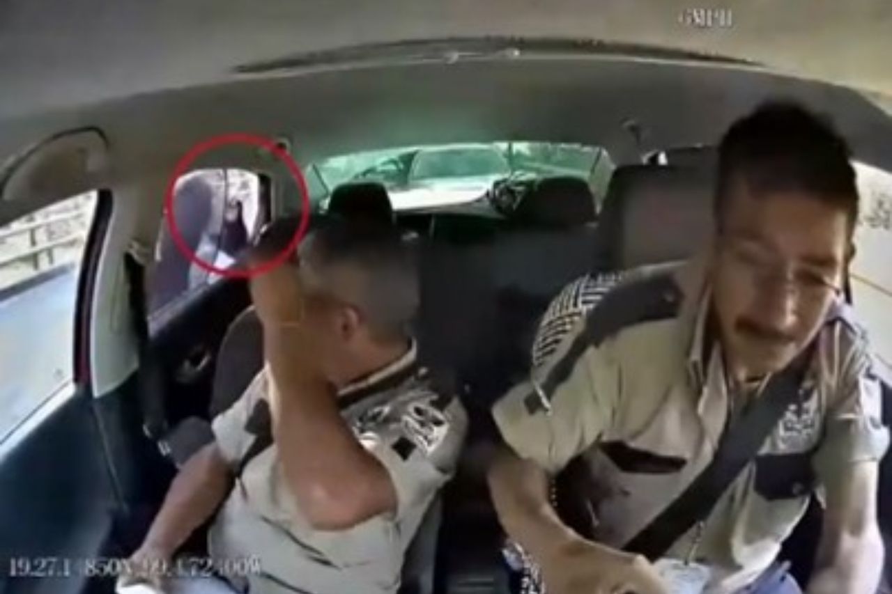 Video: Asesinan a custodio durante asalto a camión con celulares