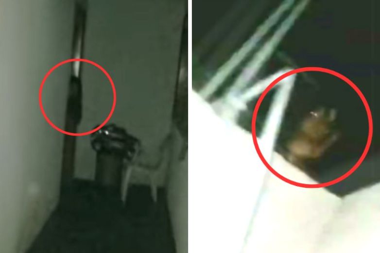 YouTuber capta aterrador fantasma dentro de su casa