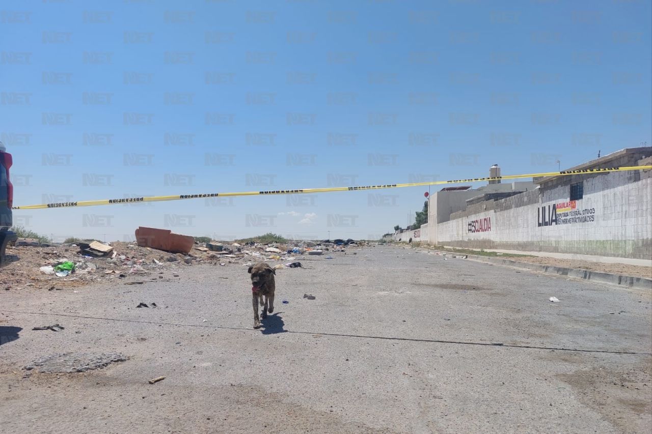 Buscaba botes de aluminio y halla cadáver calcinado