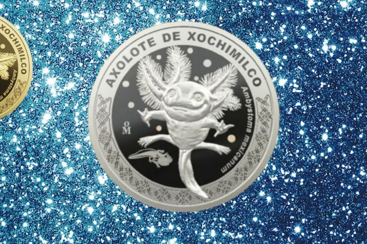 Lanzan nueva moneda conmemorativa del ajolote en México