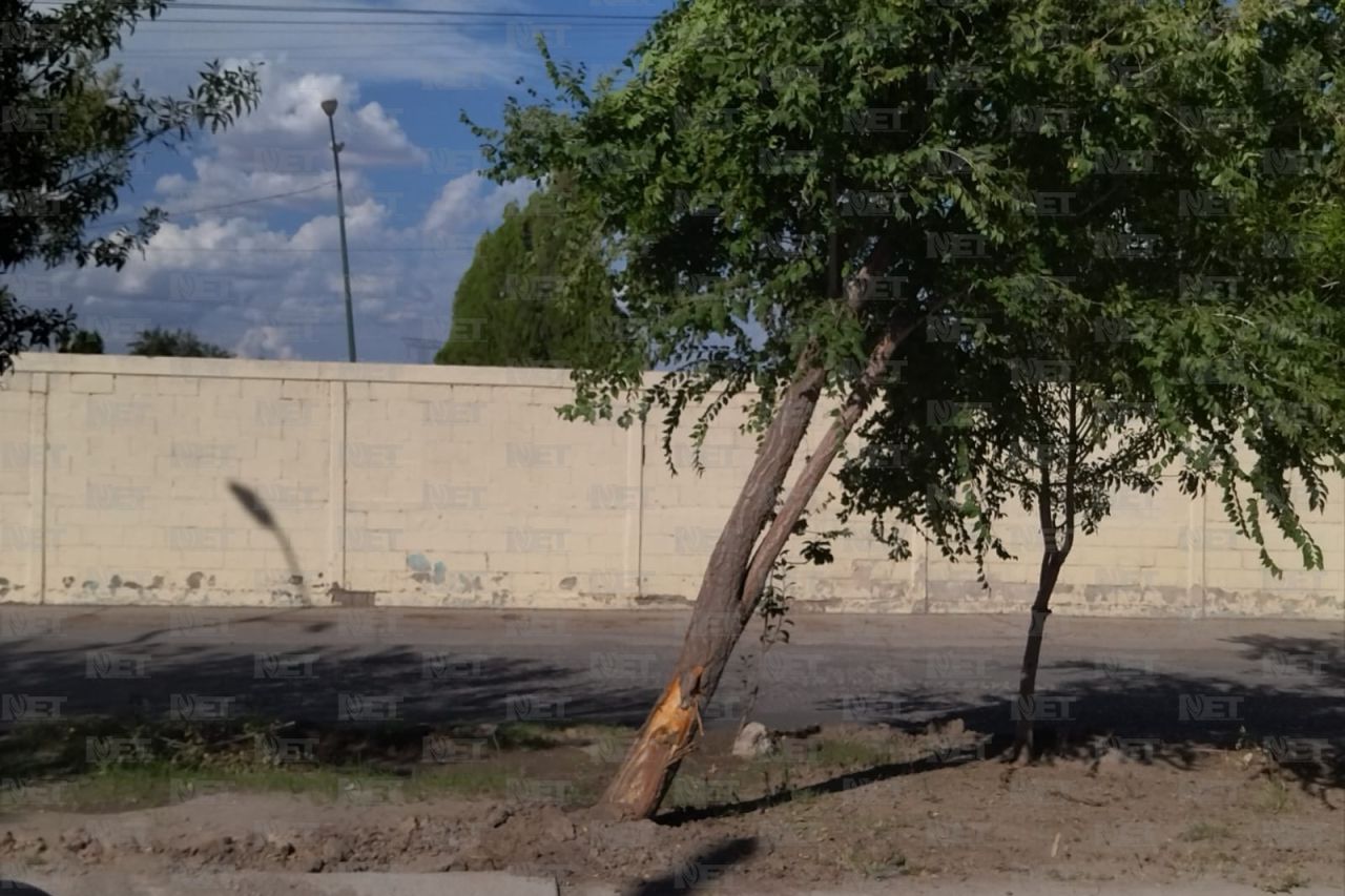 Se Distrae Choca Y Termina Volcada En La Lucero