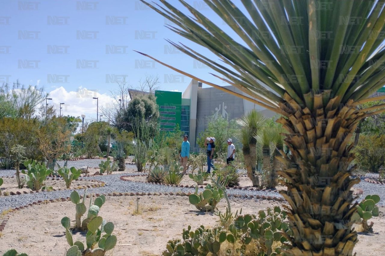 Jardín Botánico del Parque Central, una opción para aprender de la ...