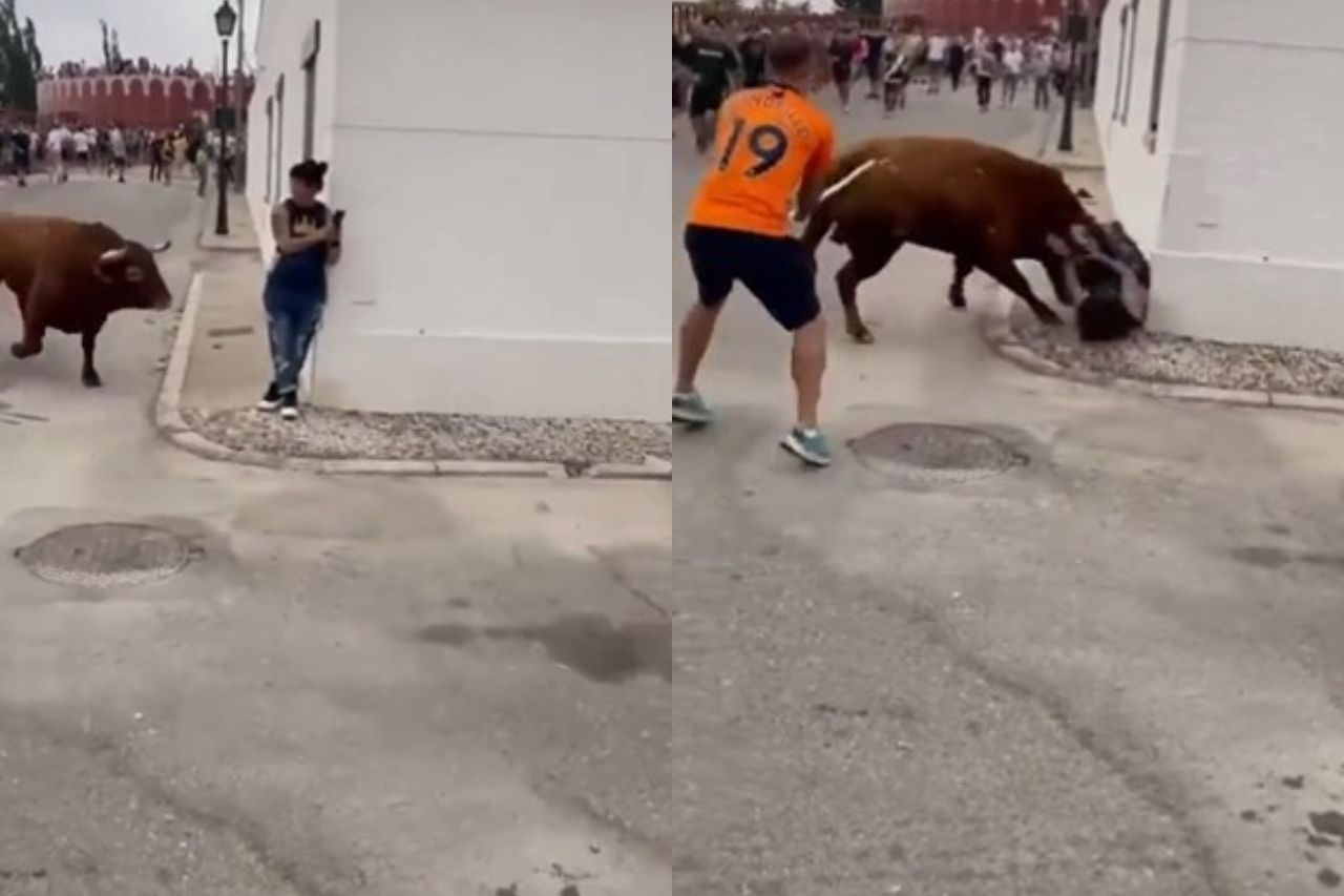 Video: Mujer se distrae en el celular y sufre embestida de un toro