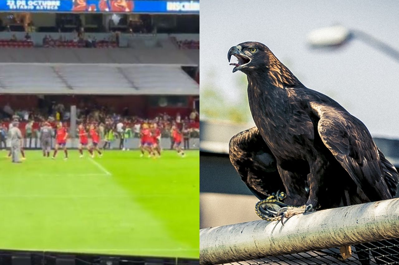 Se asustan jugadoras del Barcelona con Celeste, mascota del América