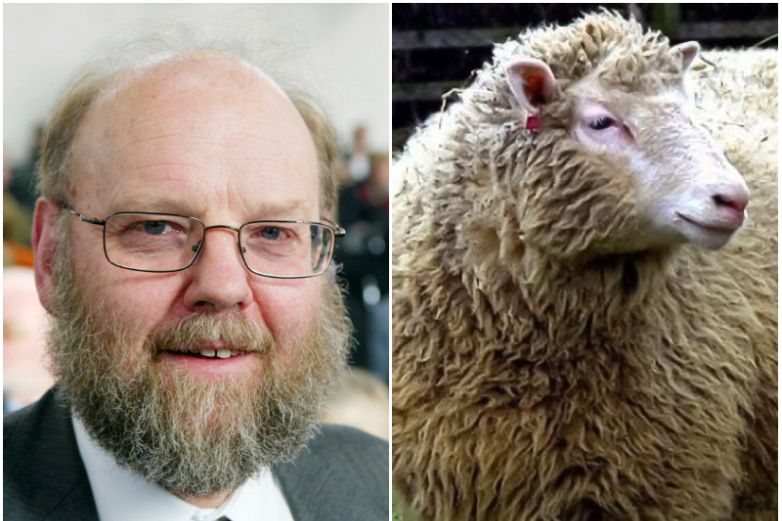Muere Ian Wilmut, pionero de la clonación y ‘padre’ de oveja Dolly