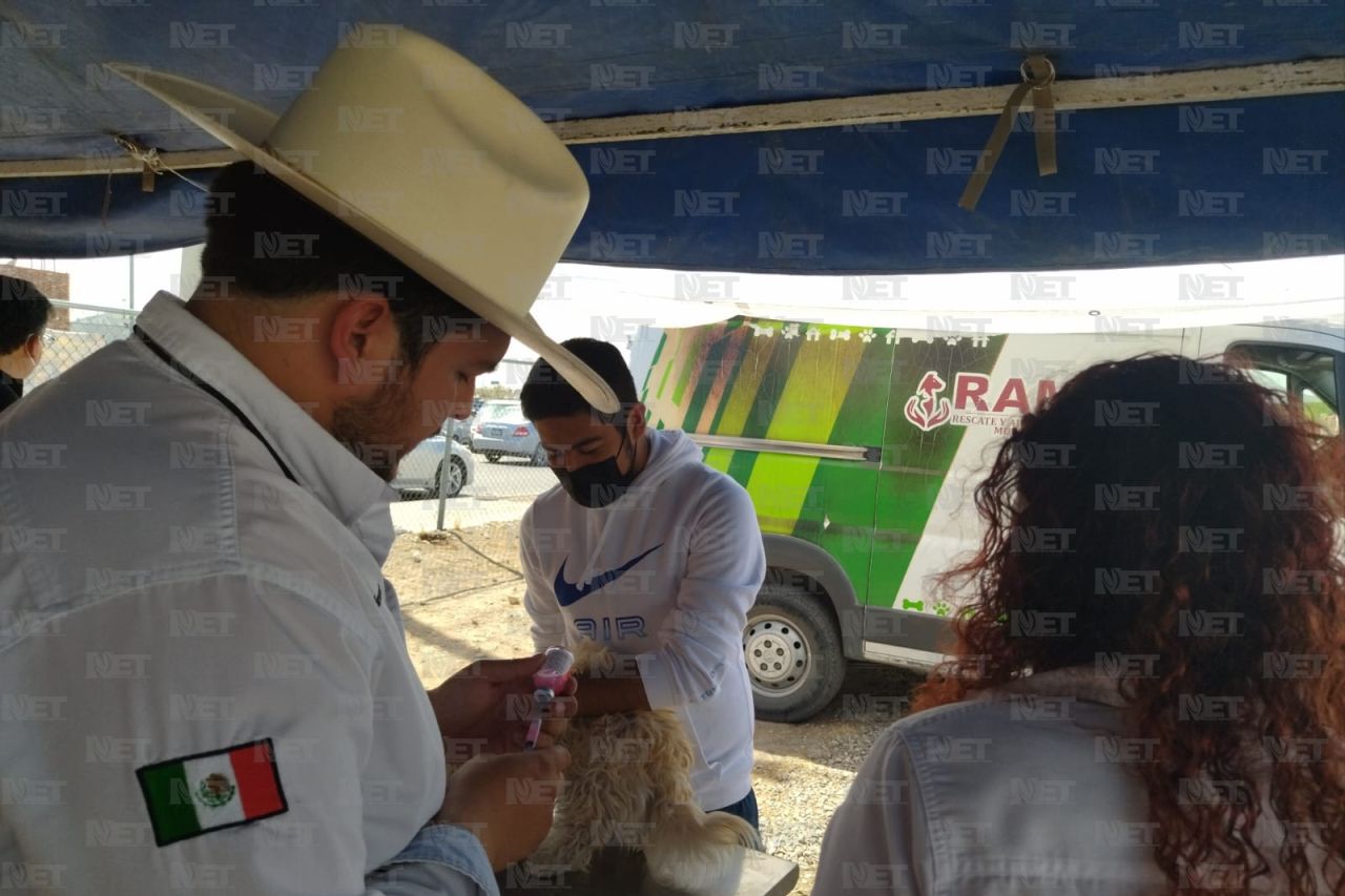 Consultas y vacunación de mascotas hoy en el Cobach 9