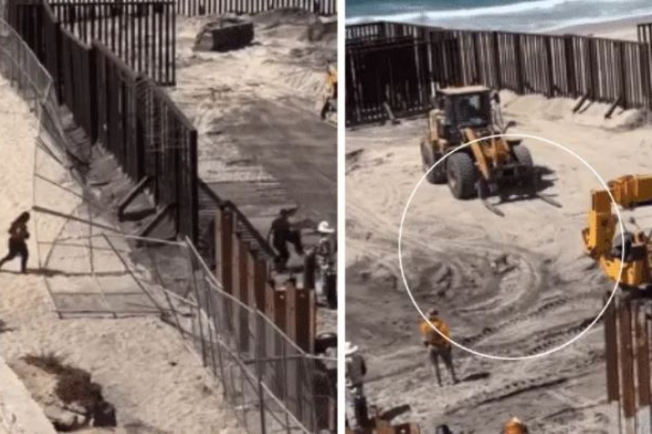 ¡Lomito migrante! Perrito aprovecha y cruza a EU junto con otras personas