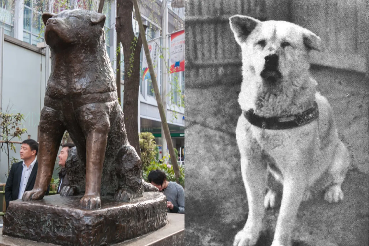 Hachiko 'cumple' 100 años y así lo recuerdan en Tokio
