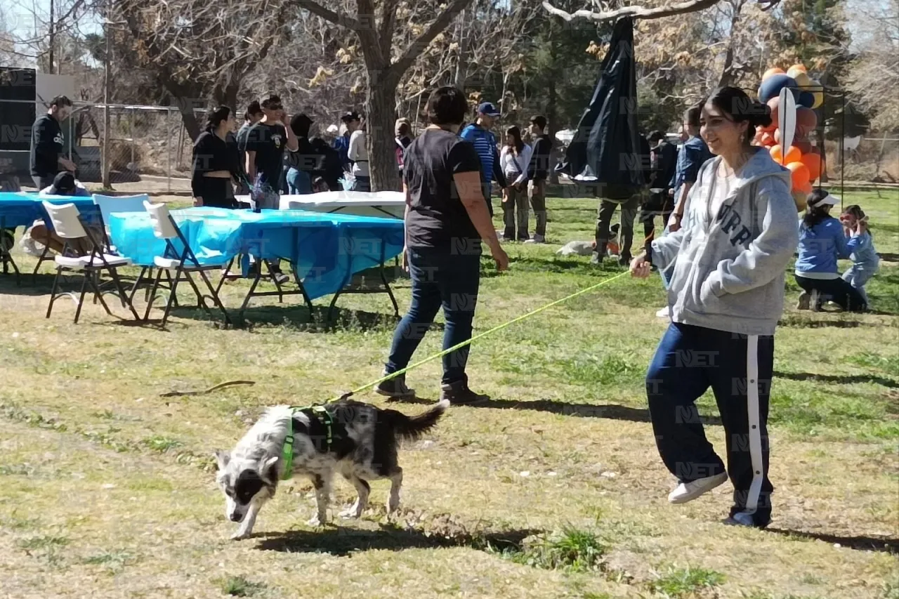 Conviven con mascotas rescatadas en ‘Paseo con Huellitas’