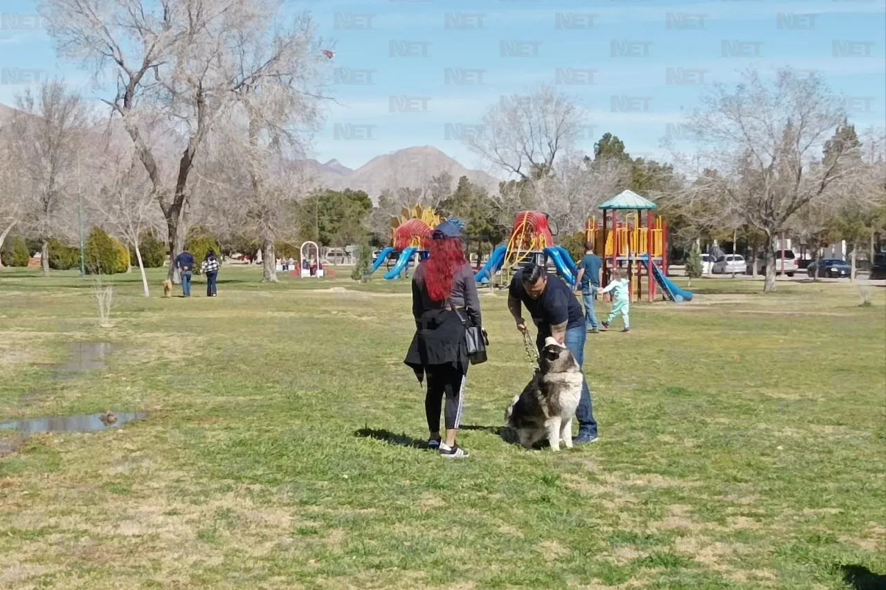 Conviven con mascotas rescatadas en ‘Paseo con Huellitas’