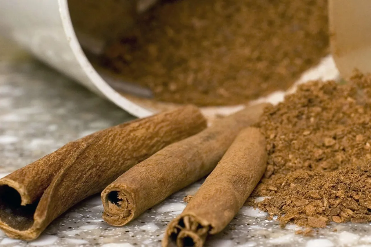 Conoce sobre el retiro de canela en polvo del mercado de EU