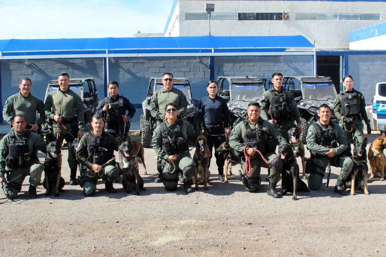 Perros policía, grandes aliados para la seguridad de los chihuahuenses