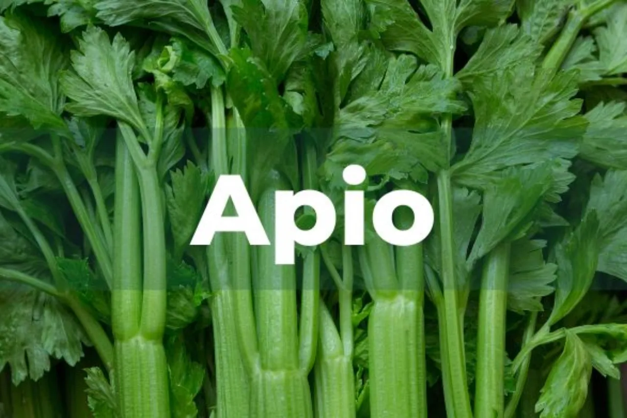 Apio y sus increíbles beneficios para tu salud