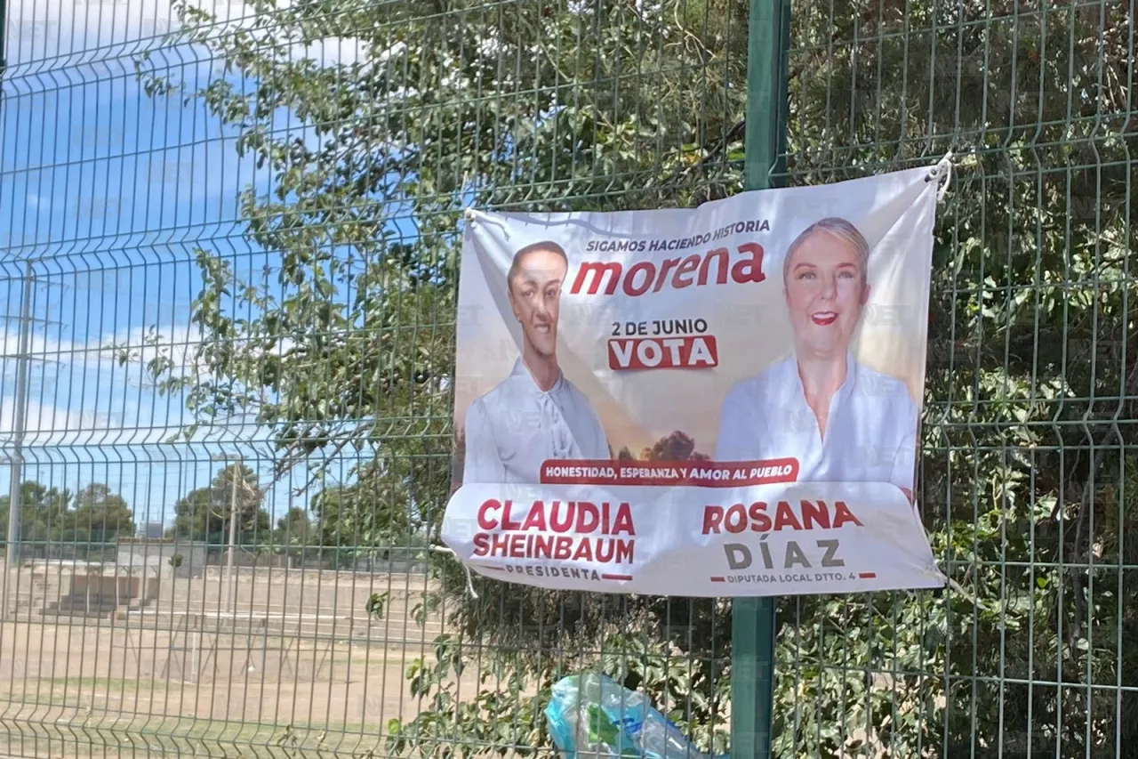 Pedirán regidores retirar propaganda de Morena de 'Los Hoyos'