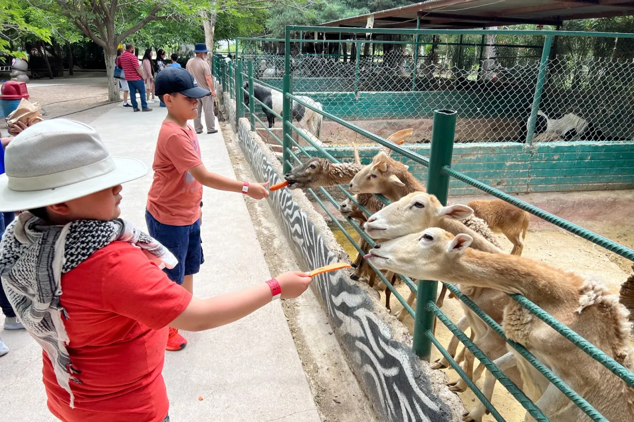 Muestra tu pulgar entintado y entra gratis al Zoológico de Chihuahua