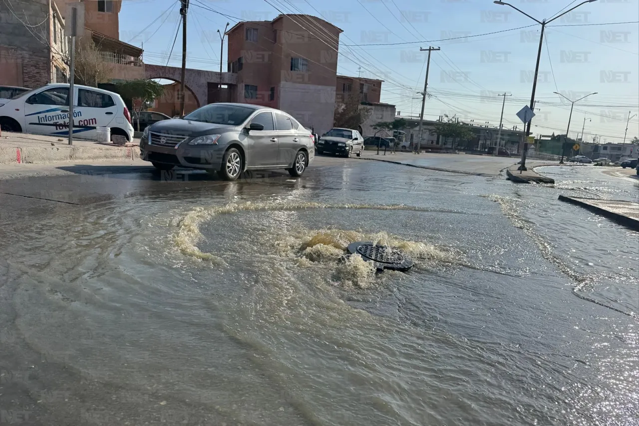 Regresa brote de aguas negras en Toronja Roja