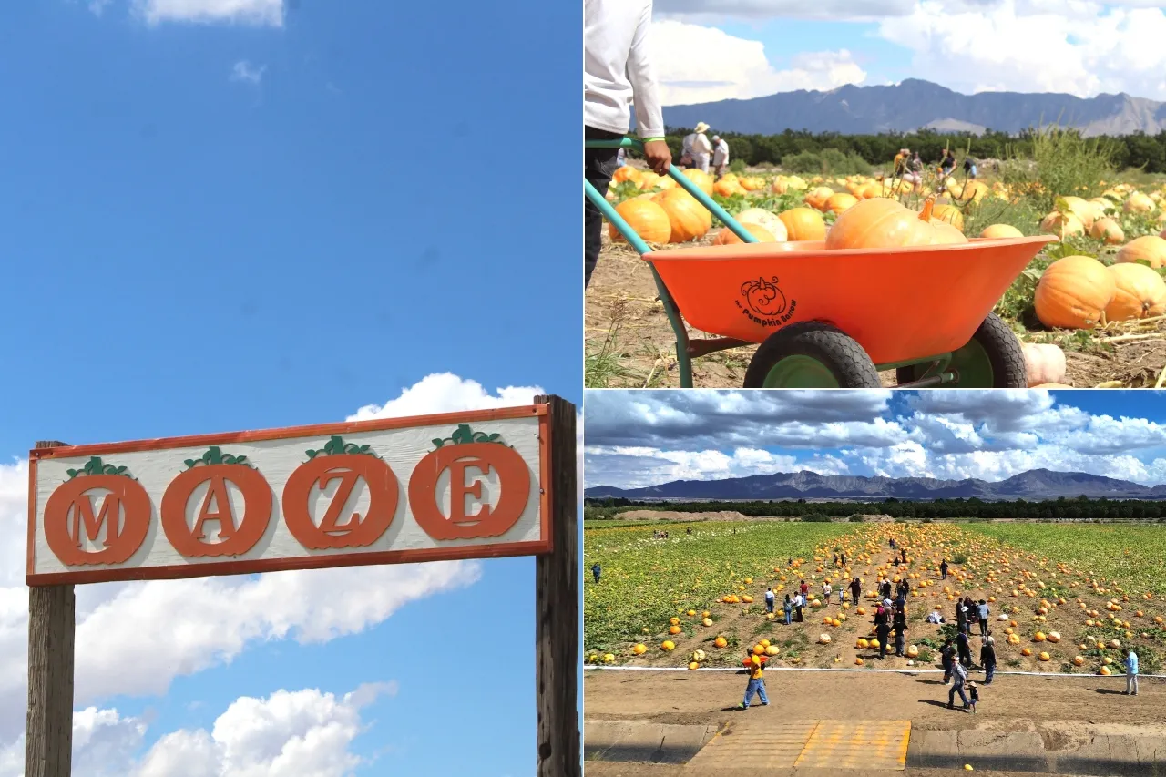 La Union Maze: Halloween, diversión y tradición en la frontera