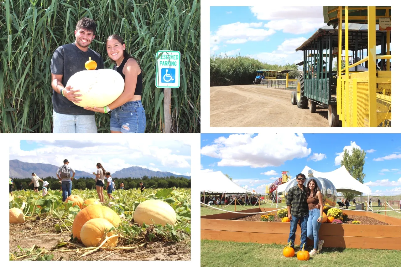 La Union Maze: Halloween, diversión y tradición en la frontera