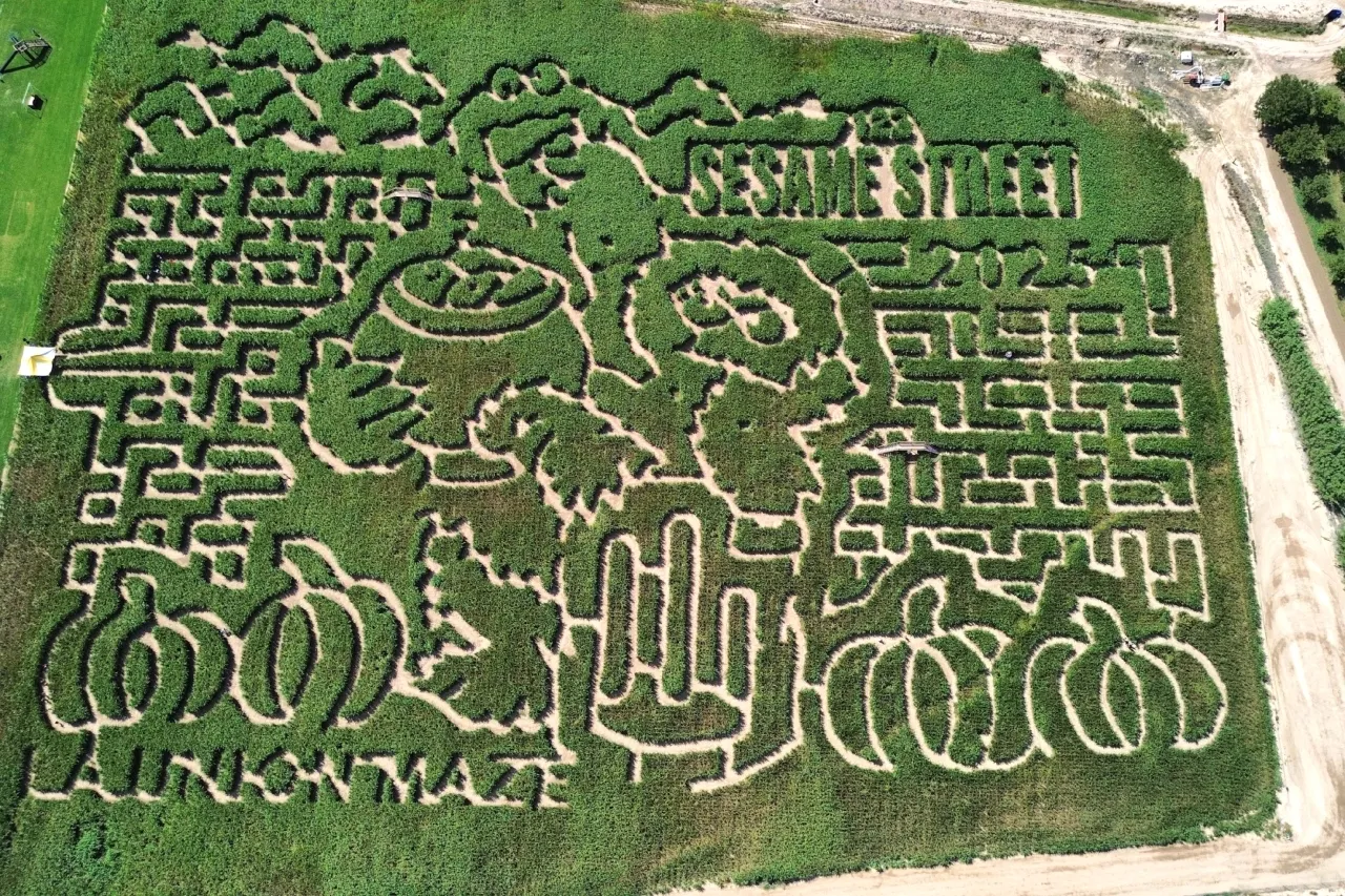 La Union Maze: Halloween, diversión y tradición en la frontera