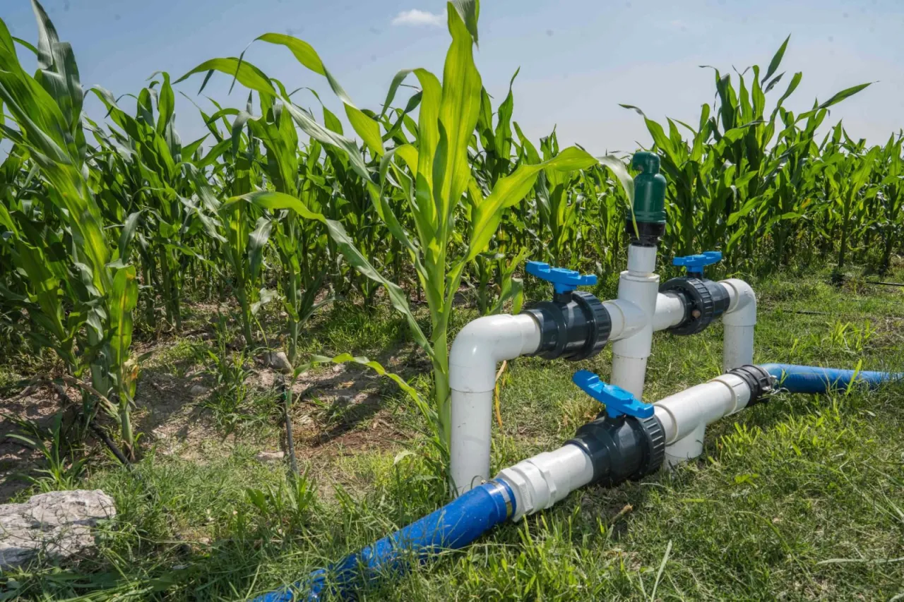 Convoca Sader a inscribirse al Programa Especial de Energía para el Campo