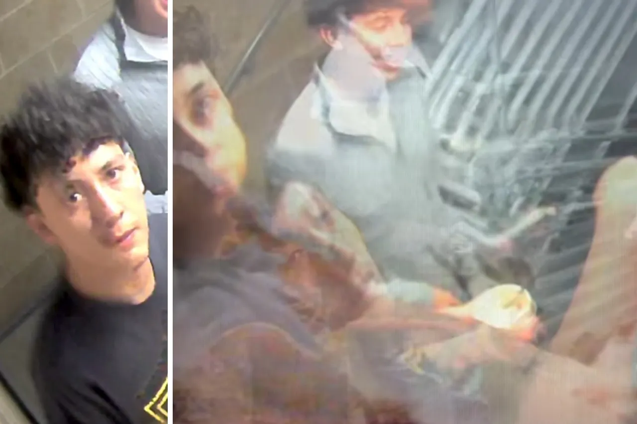 Video: Joven 'de ascendencia edgaria' destruye cámara de plaza en El Paso