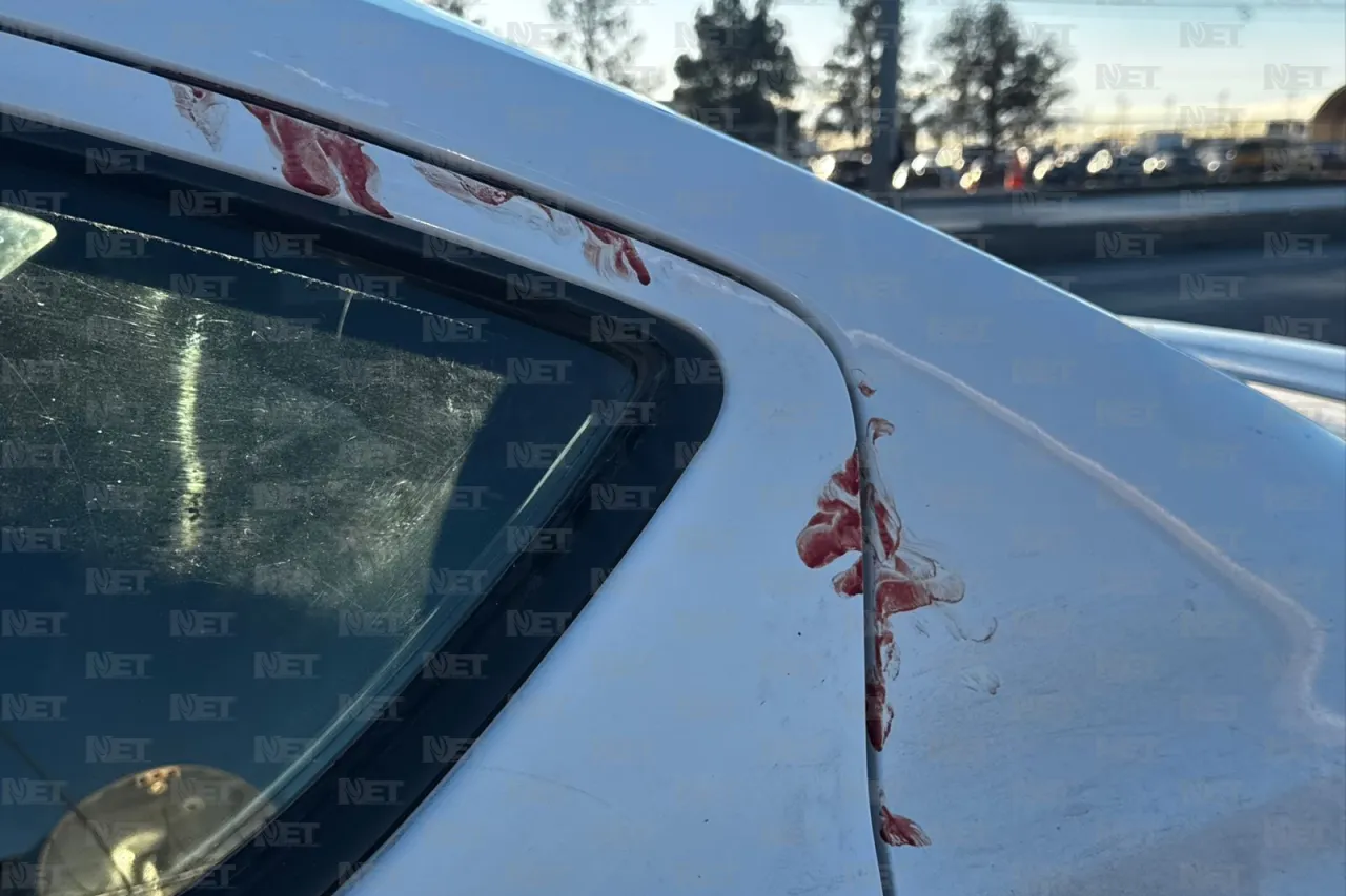 Choca contra estructura y abandona se vehículo en el Óscar Flores