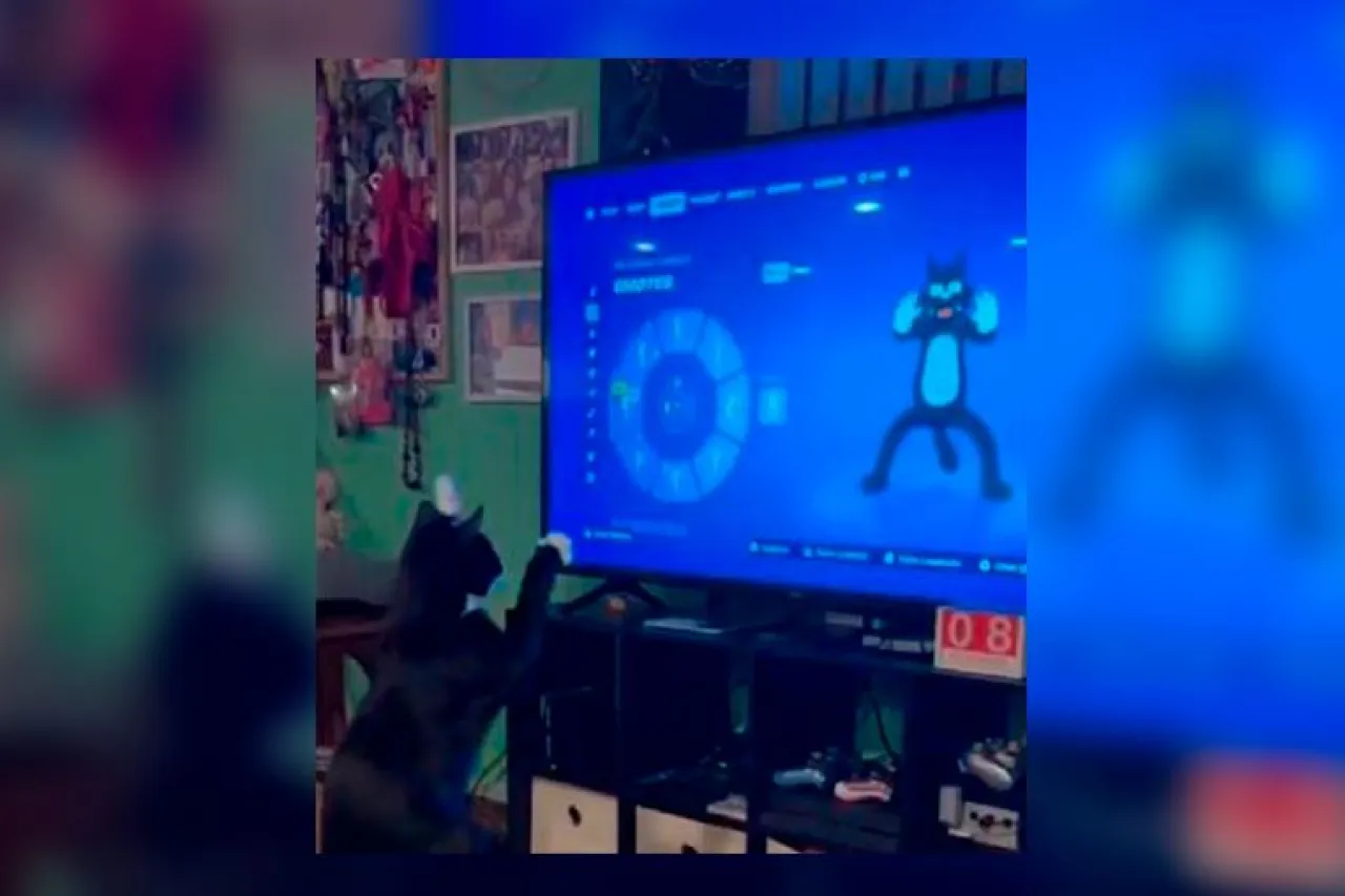 Video: Gato sorprende al imitar 'emote' de Fortnite