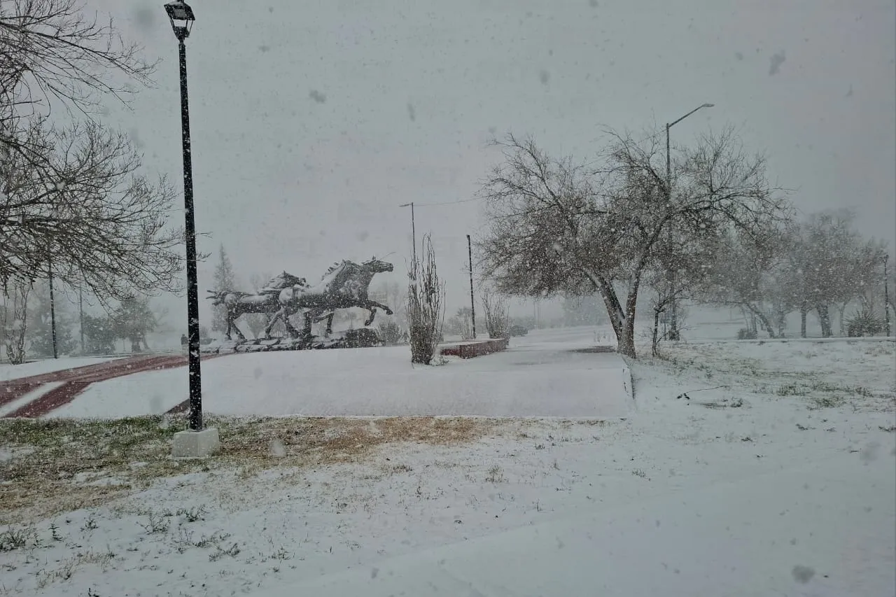 Comienza a nevar en Ciudad Juárez